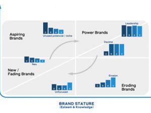 BCG-matrix – Management Platform