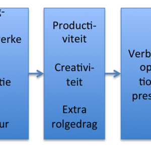 Het AMO-model van Appelbaum – Management Platform