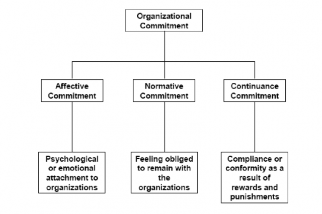 Leiderschap – Management Platform