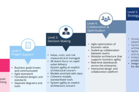 Capability Maturity Grid Model (CMM) – Management Platform