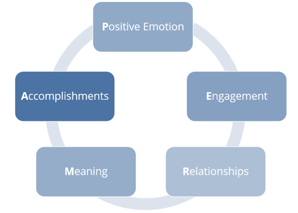 PERMA-model – Management Platform