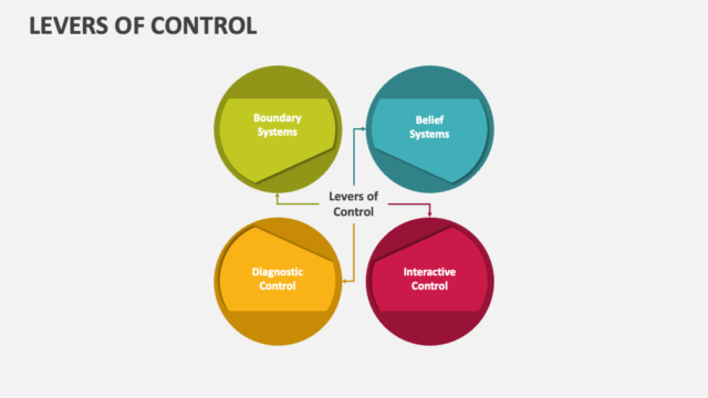 Levers of Control volgens Simons – Management Platform