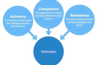 Kleurentheorie van Caluwé – Management Platform